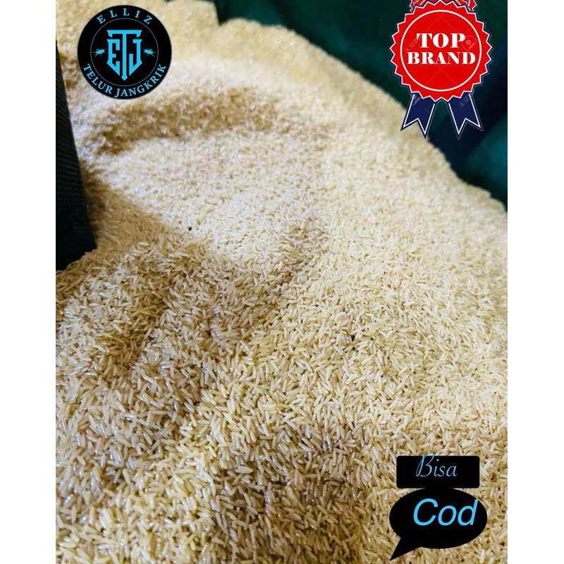 Jual tj alam terek sliring kemasan 1kg | Shopee Indonesia