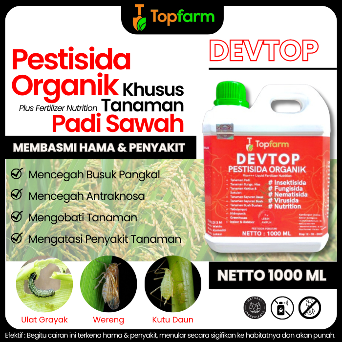 Jual Obat Padi Sundep Paling Ampuh / Obat Padi Sawah / Obat Padi Untuk ...