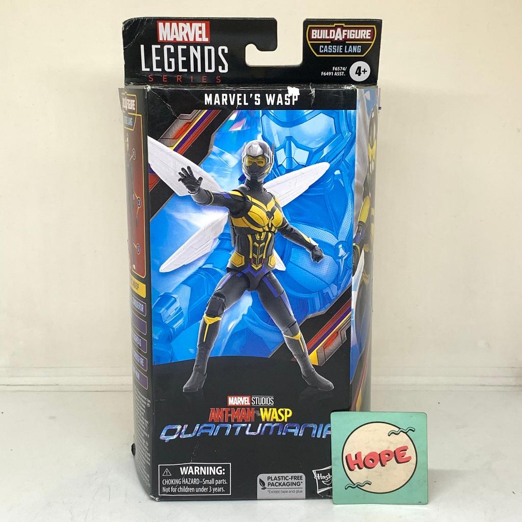 Jual Action Figure Marvel Legends Series Ant-Man And The Wasp ...