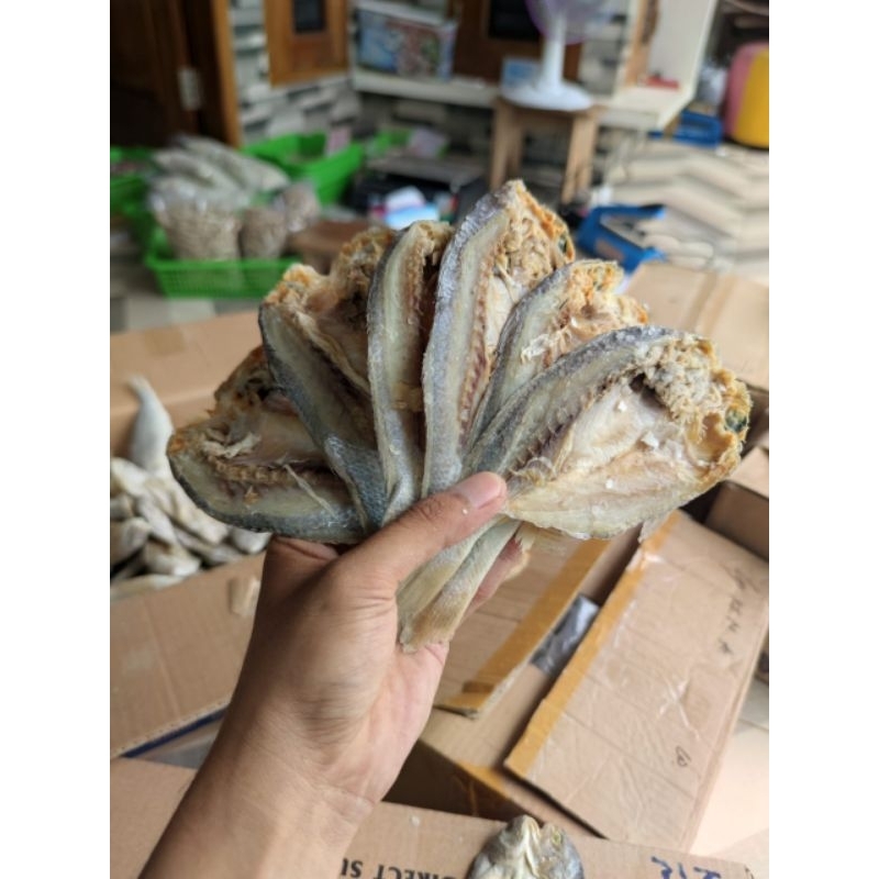Jual IKAN ASIN SAMGE BELAH 500GR | Shopee Indonesia