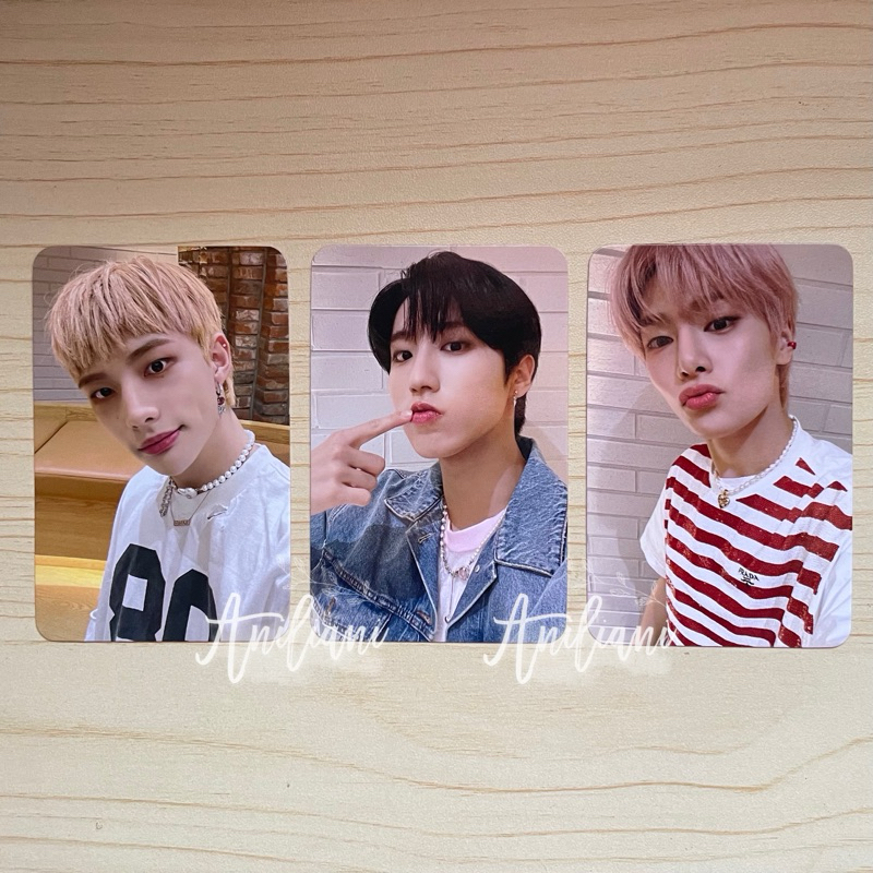 Jual Starriver VC 2.0 Maxident Straykids Hyunjin, Han Jisung, I.N Ayen ...