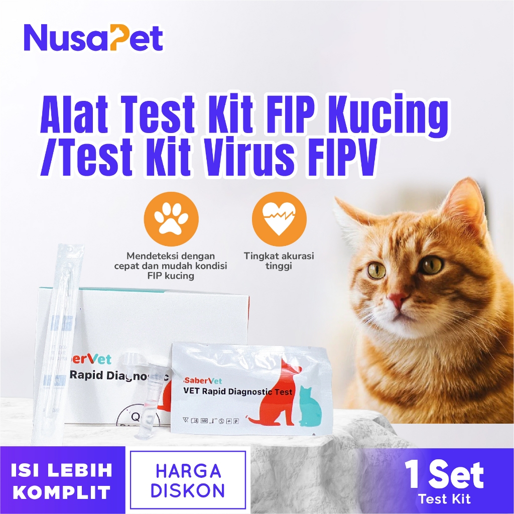 Jual Alat Test Kit Virus FIP Kucing - Rapid Tes FIPV Kucing - 1 Pcs ...