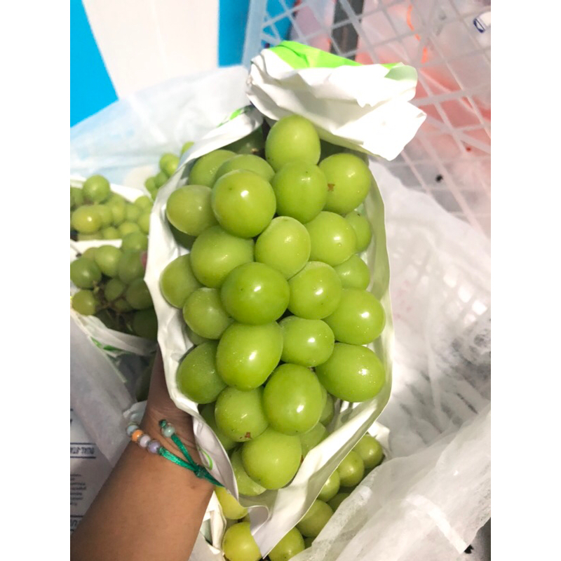 Jual Anggur Shine Muscat China /kg | Shopee Indonesia