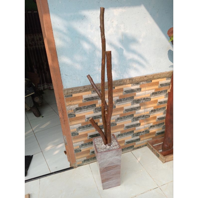 Jual Rangkaian batang / ranting untuk artificial | Shopee Indonesia