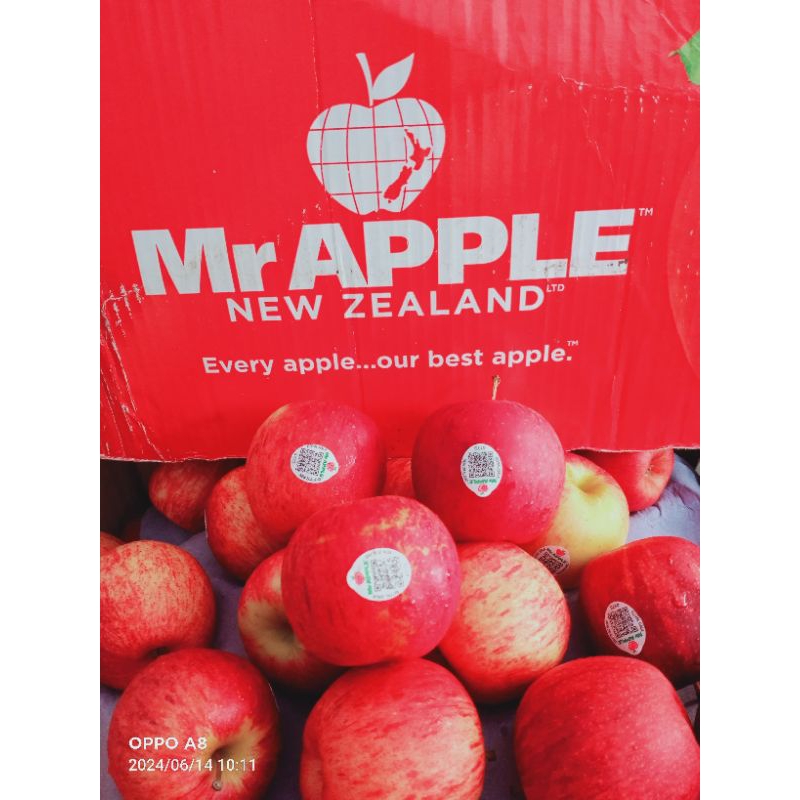 Jual Apel Gala New Zealand mr apple/ Kg | Shopee Indonesia
