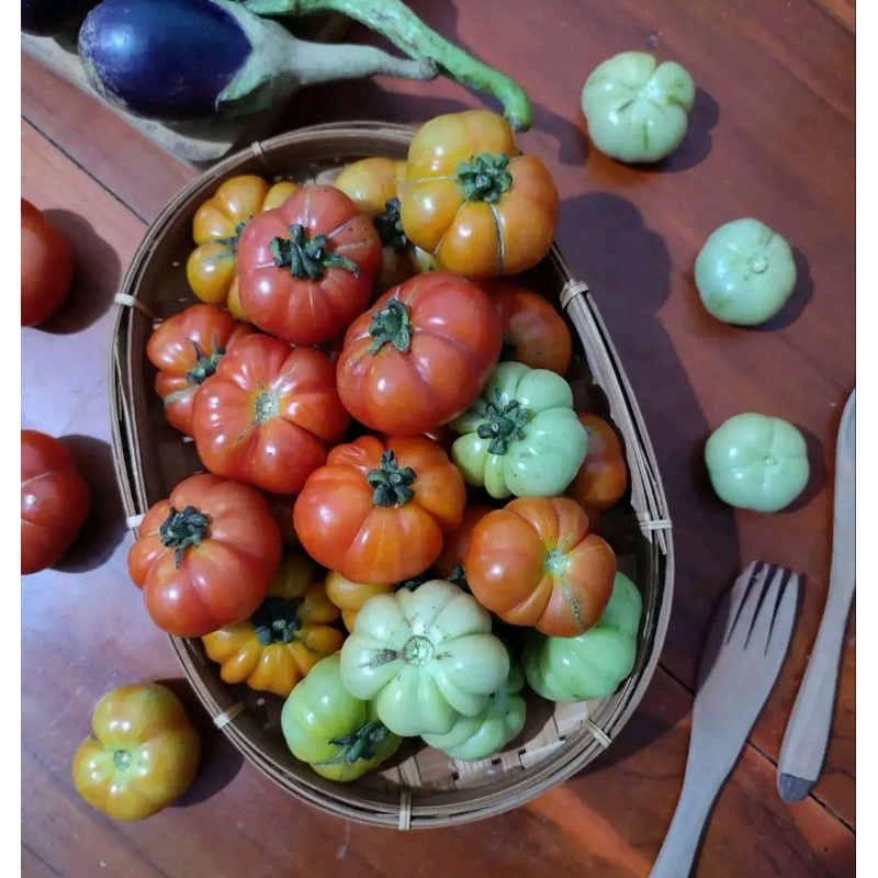 Jual TOMAT RANTI/TOMAT MAWAR/TOMAT KERITING KHAS BANYUWANGI 1 Kg ...