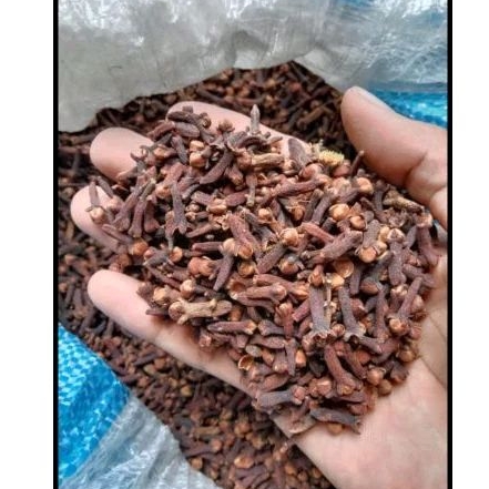 Jual Cengkeh Kering/Cengkeh Rempah/Cengkeh Utuh/Cloves/Cengkeh Premium ...