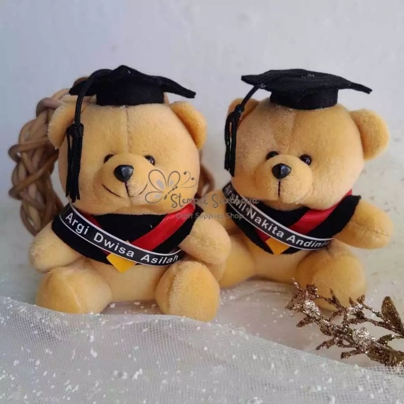 Jual BONEKA WISUDA/ BONEKA GRADUATION/ BONEKA TEDY BERUANG GRADUATION ...