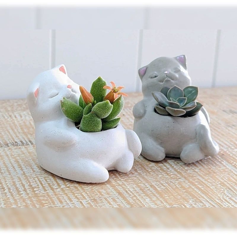 Jual Pot Kaktus Mini / Pot Karakter Kucing / Pot Concrete Aesthetic ...