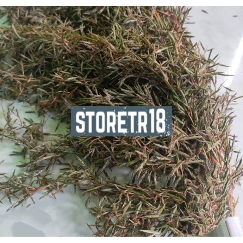 Jual Bunga Serai Wangi Serai Merah Lanang Paket 20 Tangkai | Shopee ...