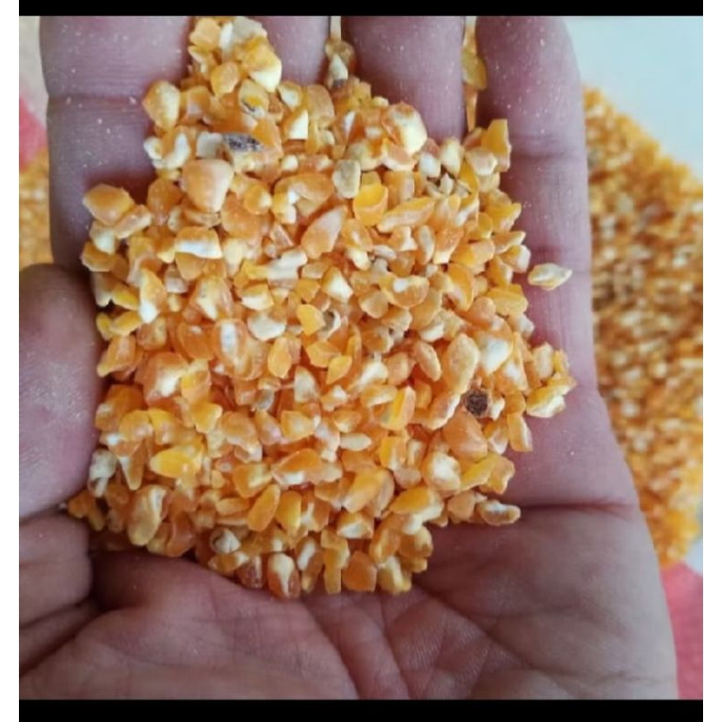 Jual jagung pecah pakan ayam 1 kg / pakan terkuku / pakan puter / pakan ...