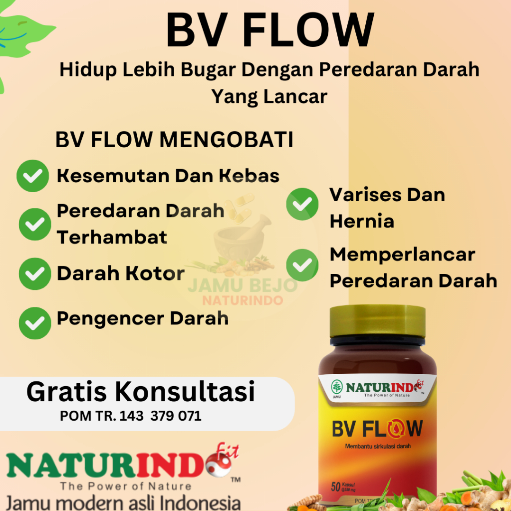 Jual BV FLOW - Obat Herbal Mengatasi Kolesterol Penyumbatan Pembulu ...