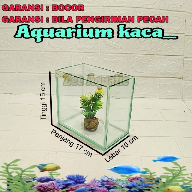 Jual Aquarium ukuran 20x10x15 akuarium kaca tebal 5 ml kaca baru ...