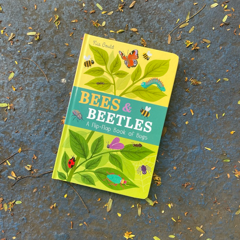Jual Flip Flap Bees and Beetles | Shopee Indonesia