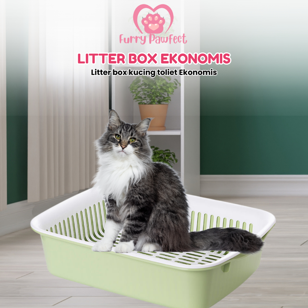 Jual CAT LITTER BOX EKONOMIS - TEMPAT BAK BASKOM PASIR KOTORAN HEWAN ...