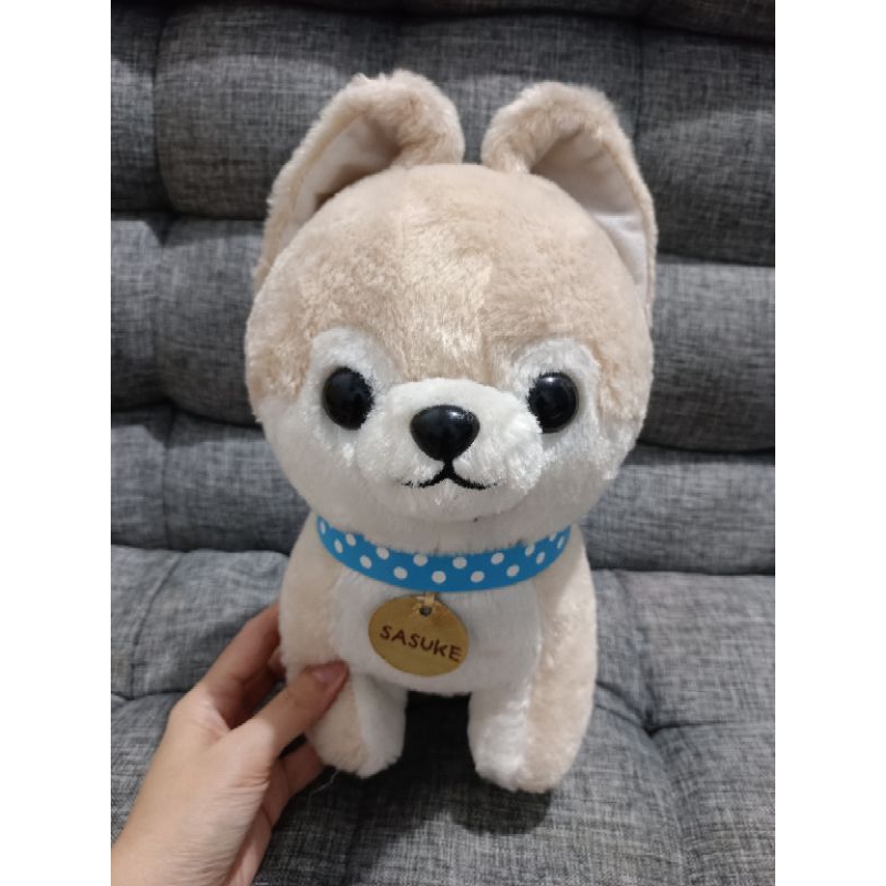 Jual Boneka guguk mameshiba amuse preloved | Shopee Indonesia