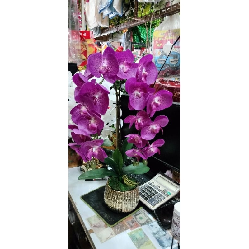 Jual Bunga anggrek super premium+vas keramik | Shopee Indonesia