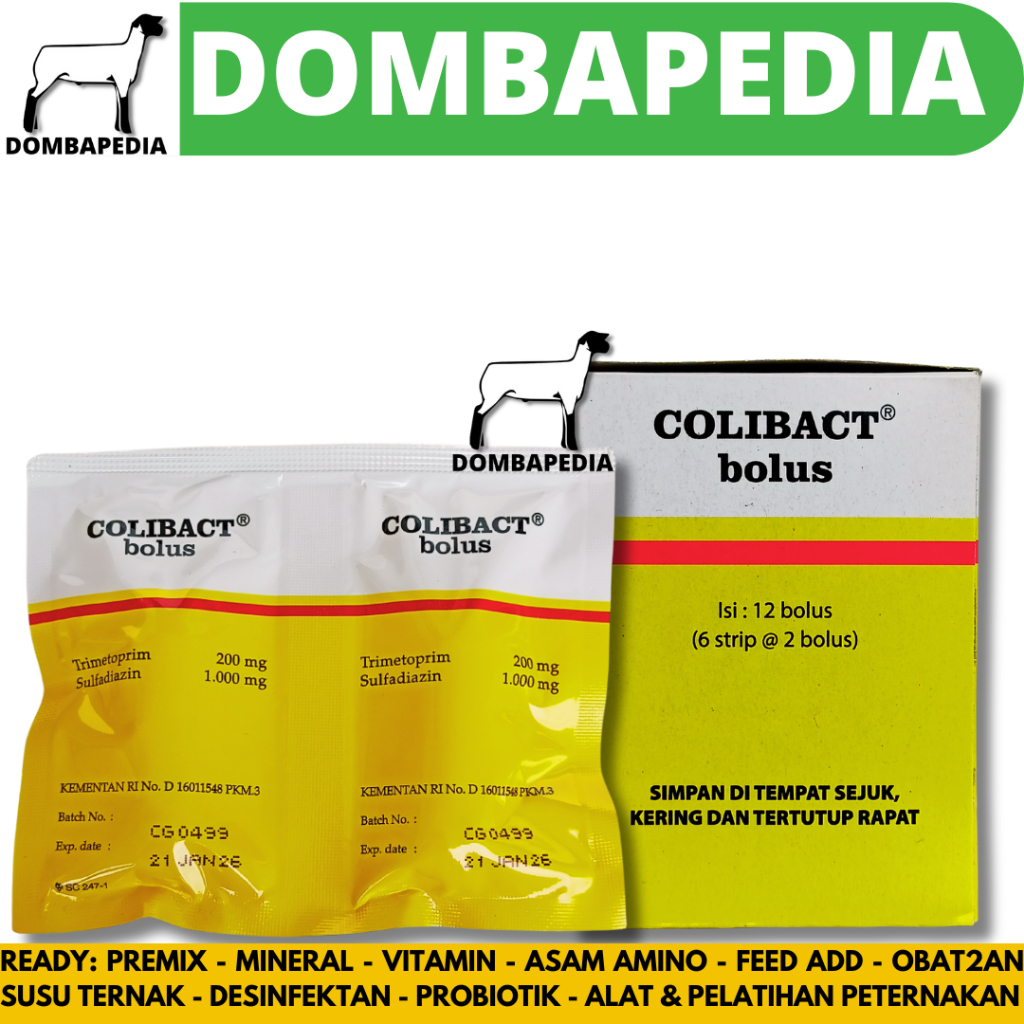 Jual COLIBACT BOLUS 1 BOX ISI 12 BOLUS SANBE - Obat Antibakteri Hewan ...
