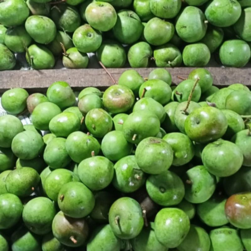 Jual Mangga apel muda / mangga apel muda bahan rujakan fresh 1 kg ...