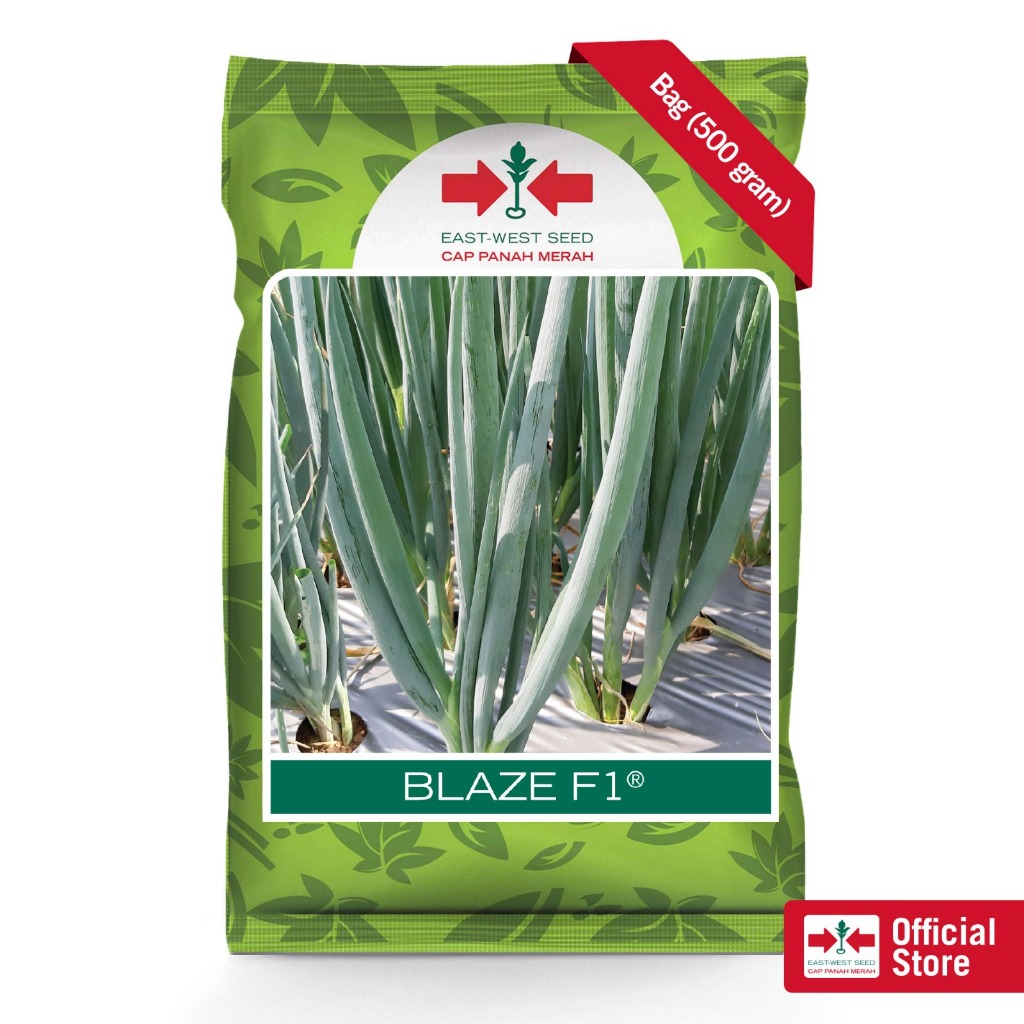 Jual Cap Panah Merah - Benih Daun Bawang Blaze F1 Isi 500 Gram | Shopee ...