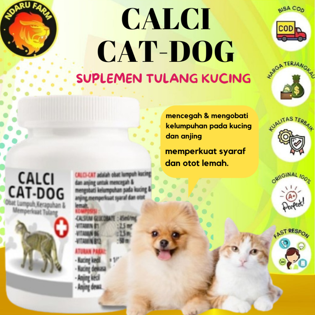 Jual SUPLEMEN TULANG KUCING OBAT LUMPUH CALCI CAT-DOG KUCING ANJING ...
