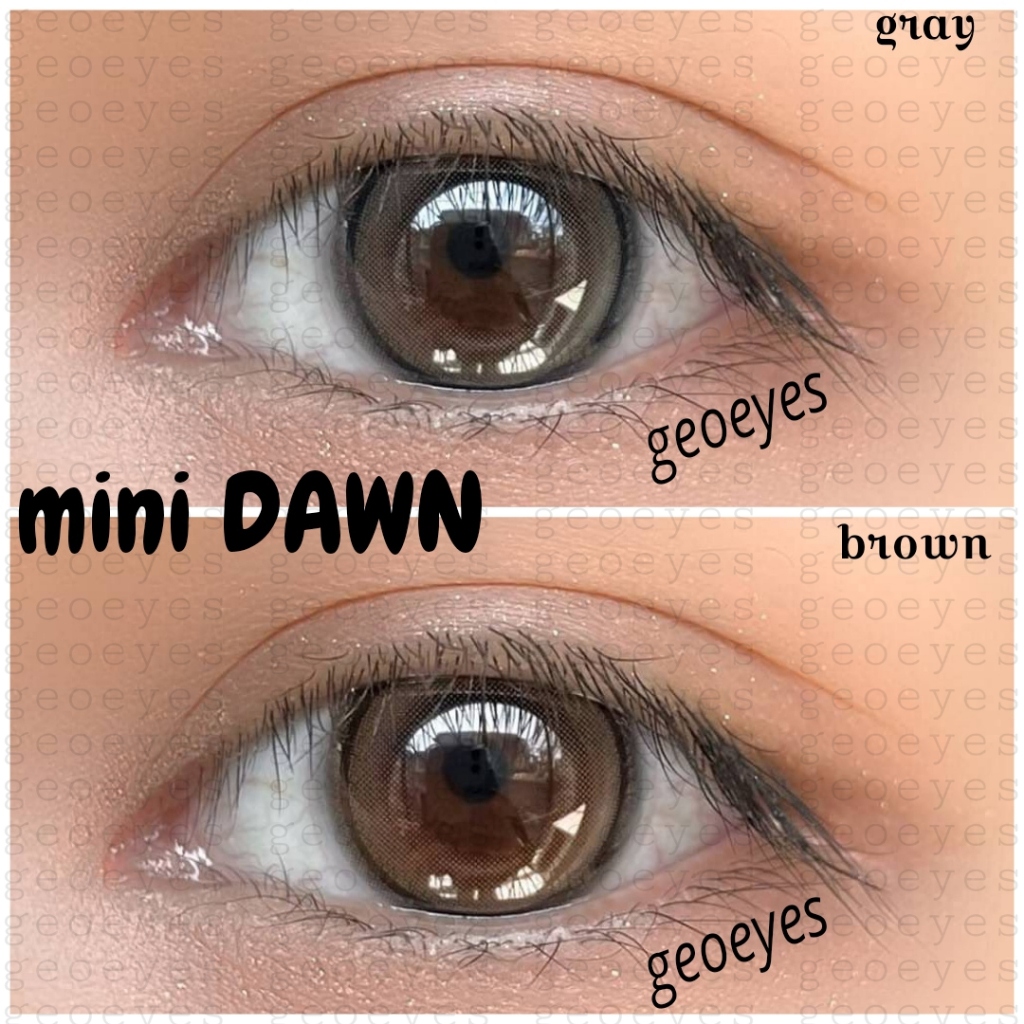 Jual Softlens Kitty Kawaii Mini Dawn - Gray dan Brown Bisa Minus ...
