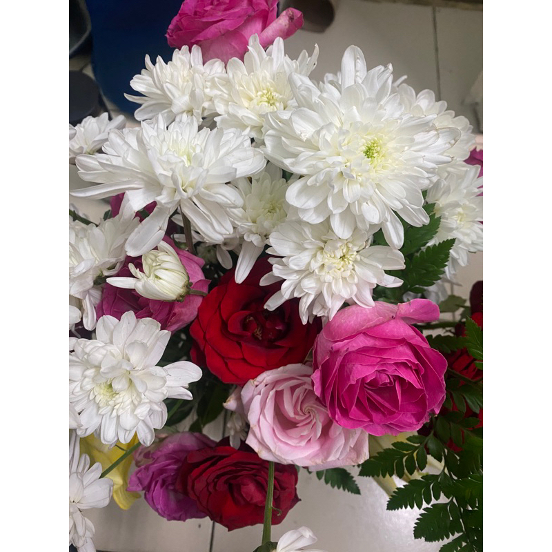 Jual bunga anna | Shopee Indonesia