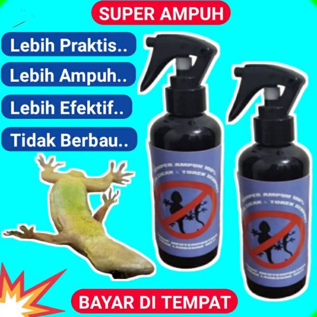 Jual Racun Pembasmi cicak semprot Paling ampuh original | Shopee Indonesia