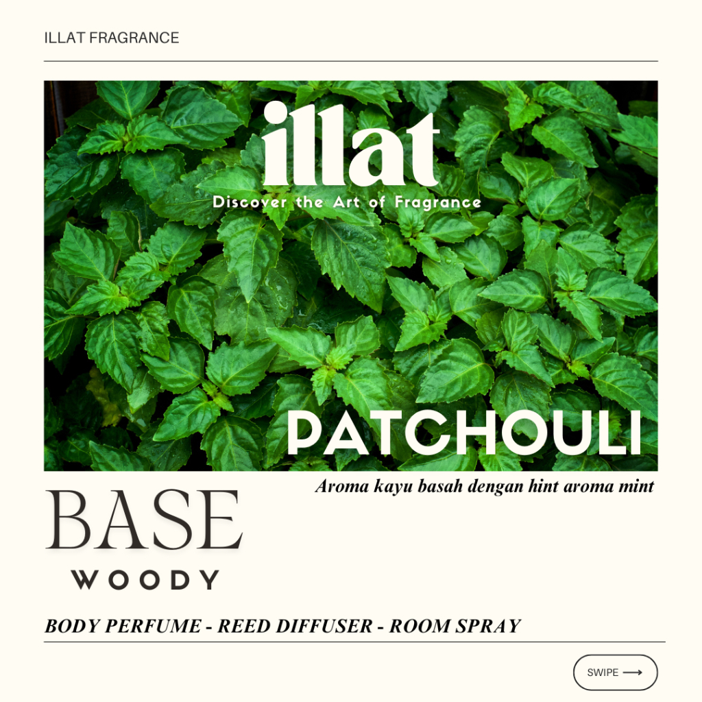 Jual PATCHOULI Fragrance Oil Perfume / Reed Diffuser by ILLAT FRAGRANCE | Shopee Indonesia