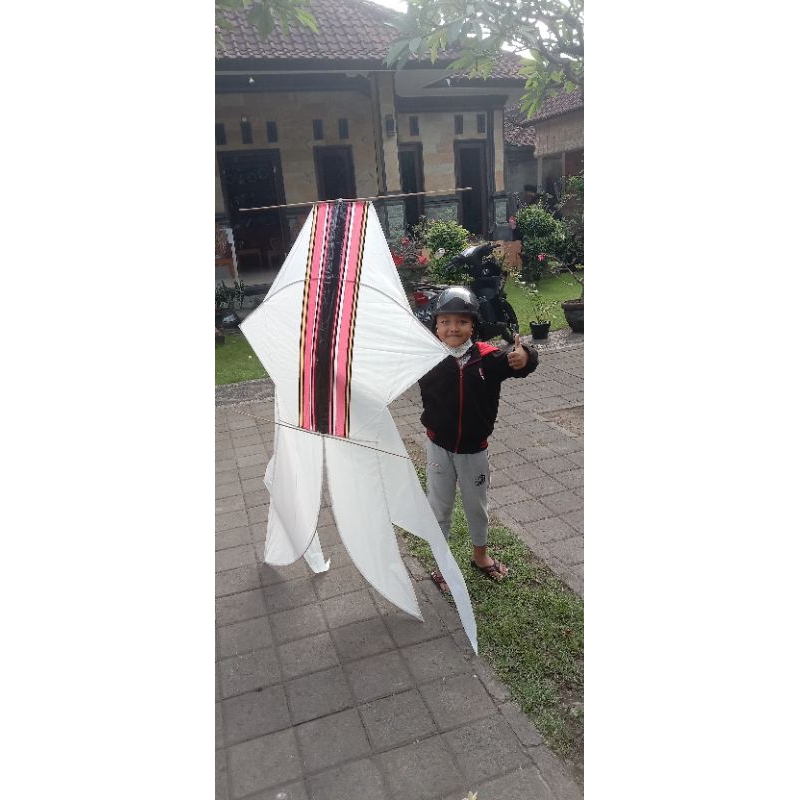Jual OPEN ORDER LAYANGAN BEBEAN KHAS BALI UKURAN 120 CM | Shopee Indonesia