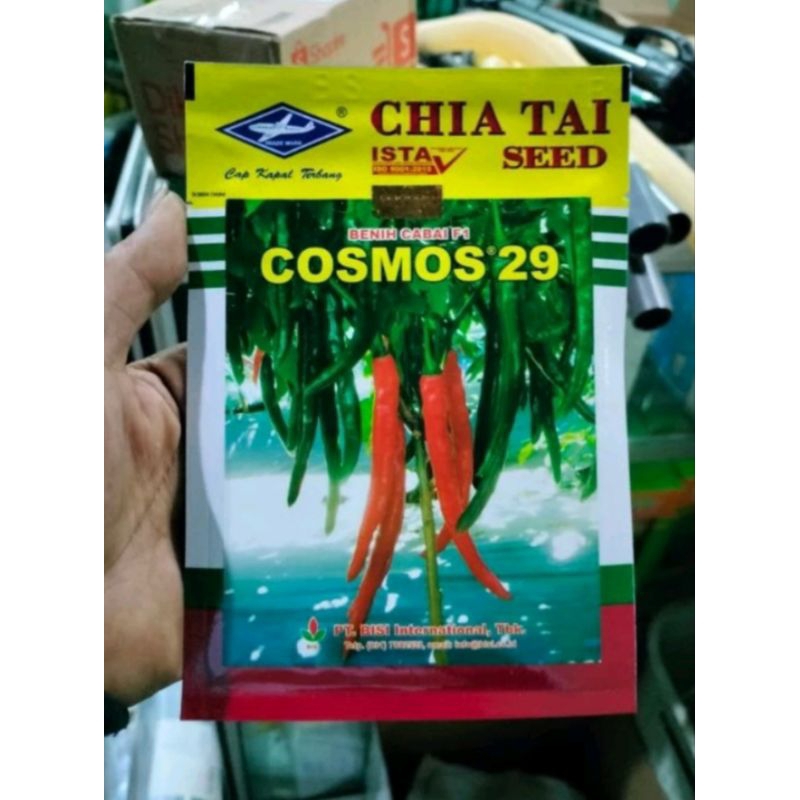 Jual bibit cabai besar cosmos 29 bisi kapal terbang | Shopee Indonesia
