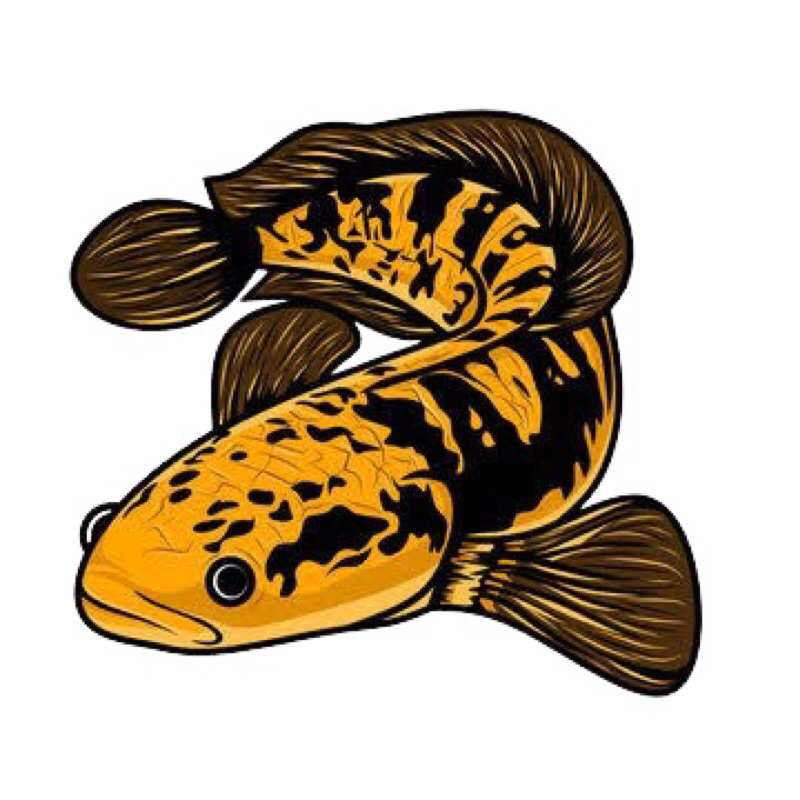 Jual sticker chana MARU YS SINGGELTANK | Shopee Indonesia