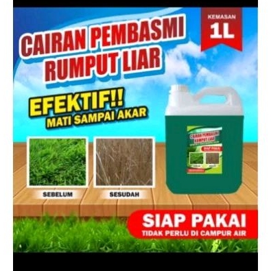 Jual pembasmi rumput liar / racun rumput liar / obat tanaman liar ...