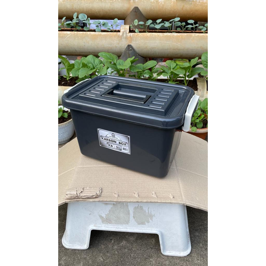 Jual Container Box Kontainer Plastik Karbon Box Tempat Penyimpanan ...
