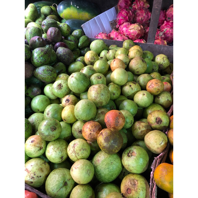 Jual JAMBU MERAH 1KGFRESH | Shopee Indonesia