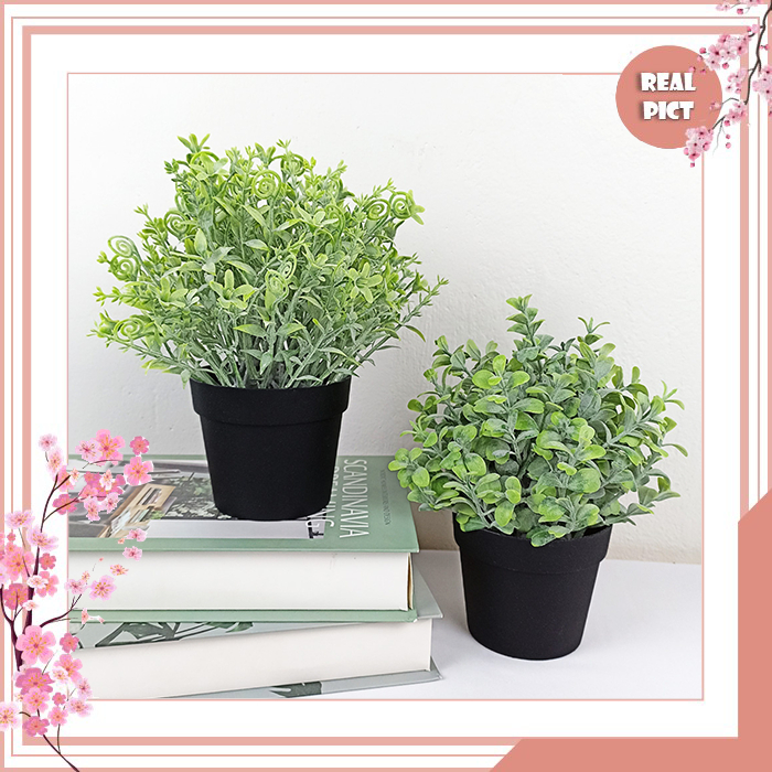 Jual UNICO Tanaman Hias Plastik Artificial Pot Bunga Rumput Sintetis ...