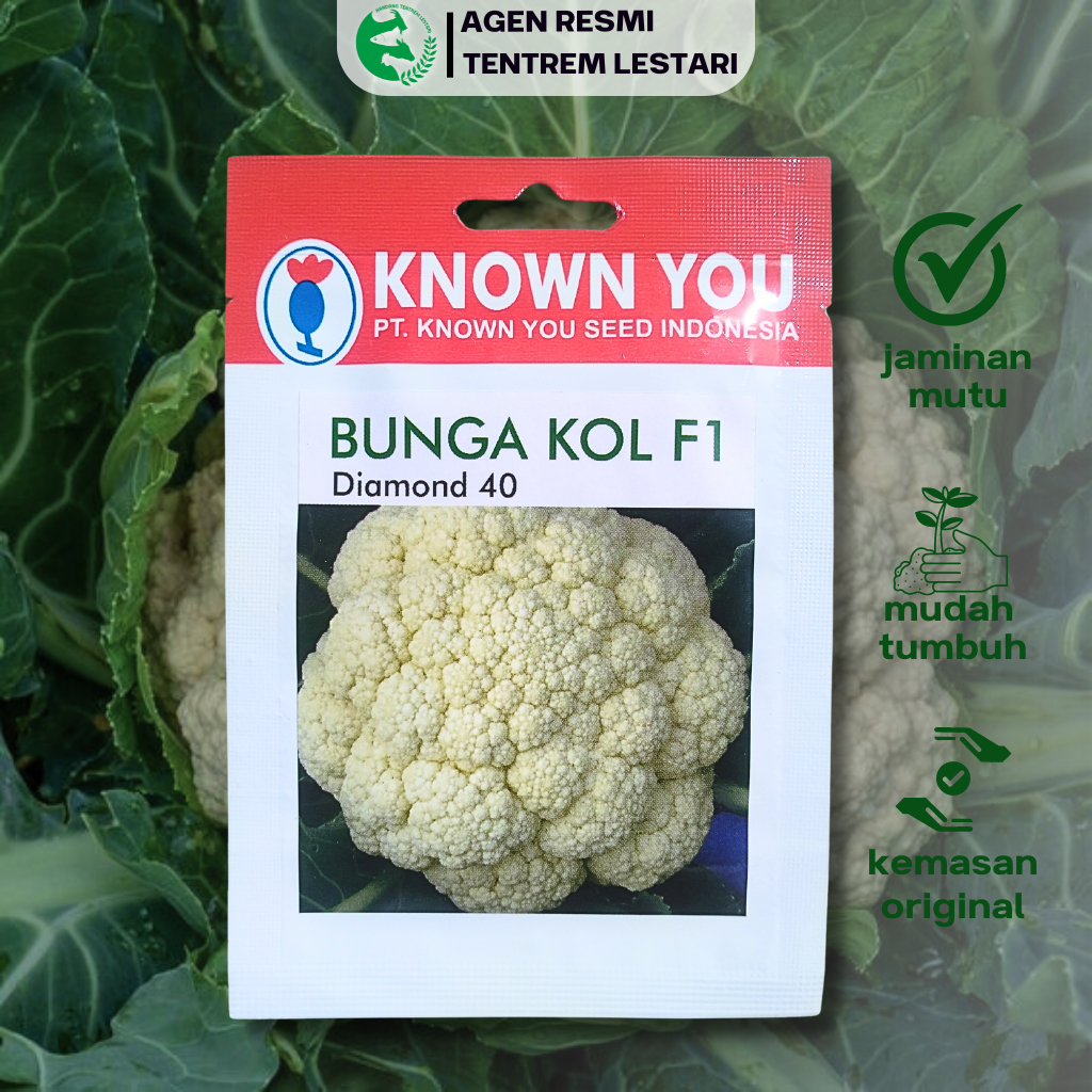 Jual Benih Bunga Kol DIAMOND 40 10 gr Known You Seed Unggul Mudah ...