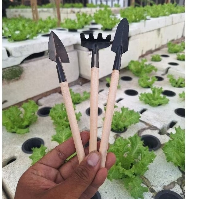 Jual Alat Berkebun Bercocok Tanam Mini 3 in 1 Set Sekop Cangkul Garpu ...