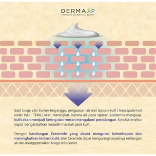 Jual DERMA XP BARRIER SHIELD AD PRO FACE & BODY,SOOTHING GEL, FACE and ...