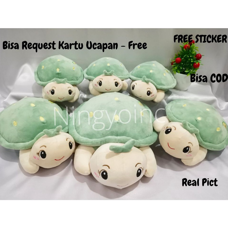 Jual BONEKA AVOCADO TURTLE KURA KURA LUCU IMUT BAHAN HALUS PREMIUM KODE B6P7 | Shopee Indonesia