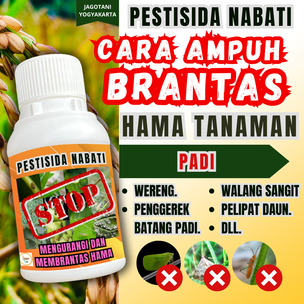 Jual Pestisida Obat Brantas Hama Wereng Pengerek Batang Dll Di ...