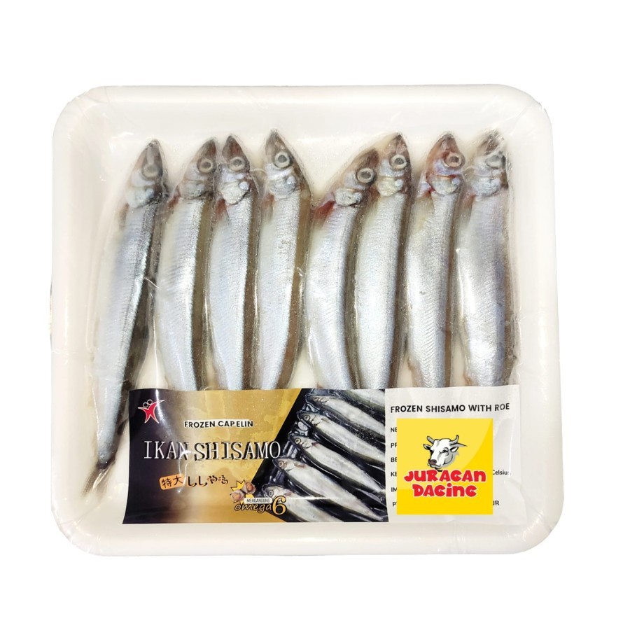Jual Ikan Capelin Shishamo Fish premium 170gr | Shopee Indonesia