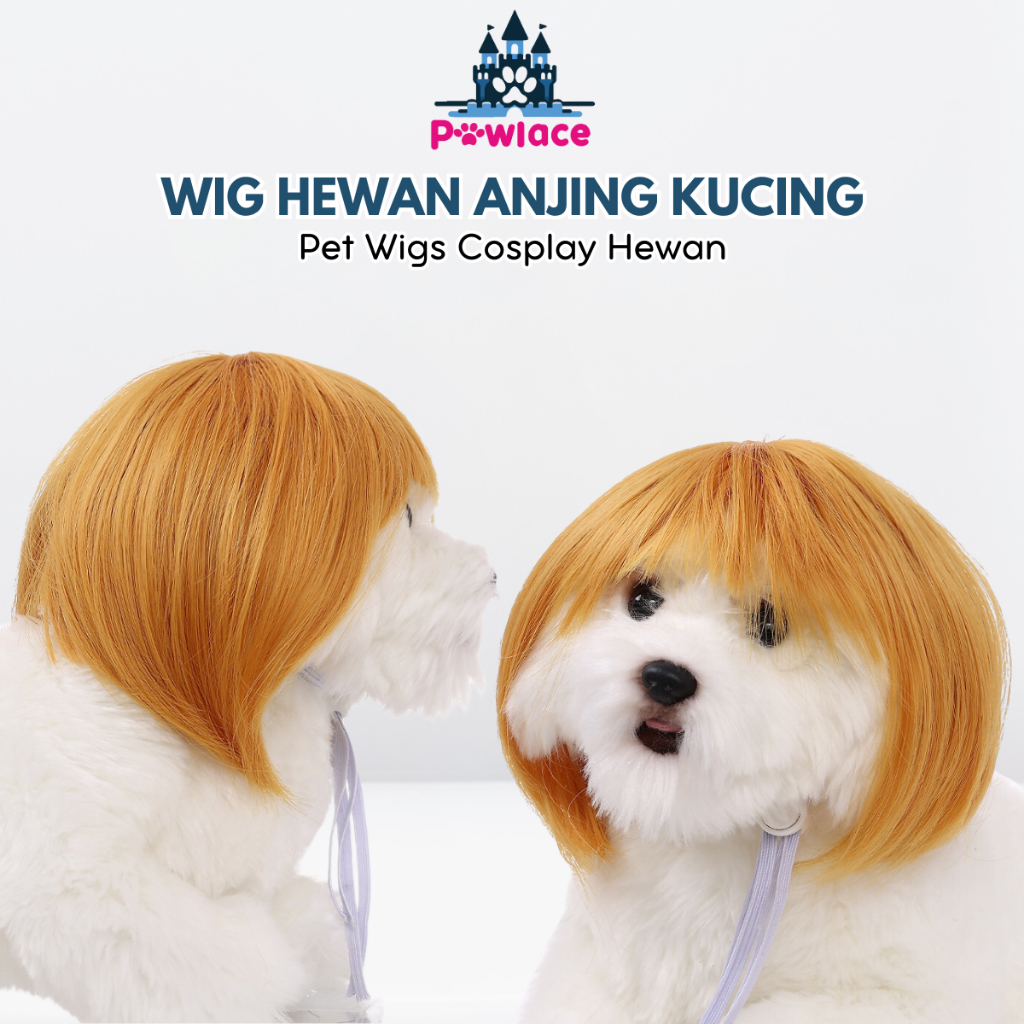 Jual Wig Hewan Anjing Kucing - Pet Wigs Cosplay Hewan Anjing Kucing ...