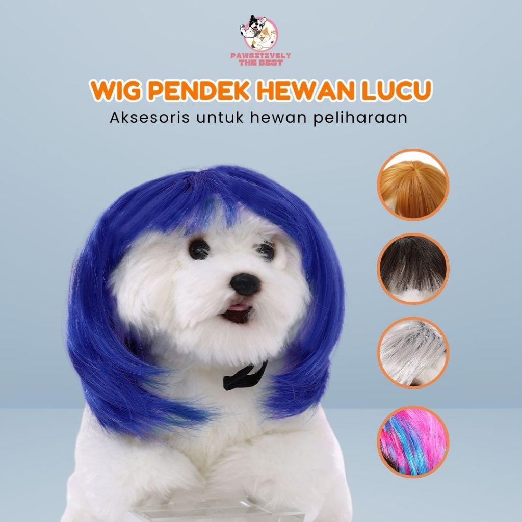 Jual Cosplay Wig Hewan Anjing Kucing - Pet Wigs Cosplay Hewan Anjing ...