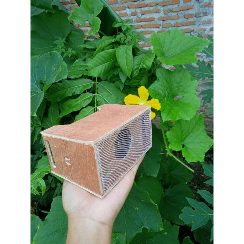 Jual box speaker line array 2inch bahan triplex 4mm | Shopee Indonesia