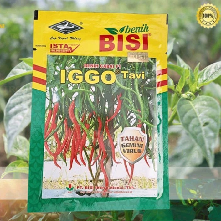 Jual Benih Cabai Kriting Iggo Tavi F1 (Rasa pedas, bobot masuk, Penjualan mudah dan Disukai ...