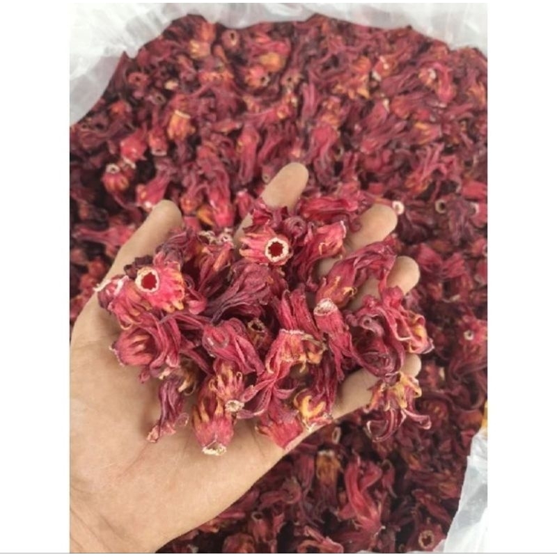 Jual BUNGA ROSELLA MERAH ALAMI BERKHASIAT | Shopee Indonesia
