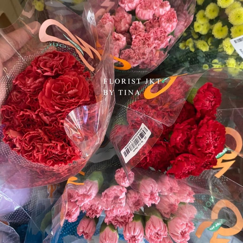 Jual Bunga Carnation import Segar (bunga segar Jakarta) | Shopee Indonesia