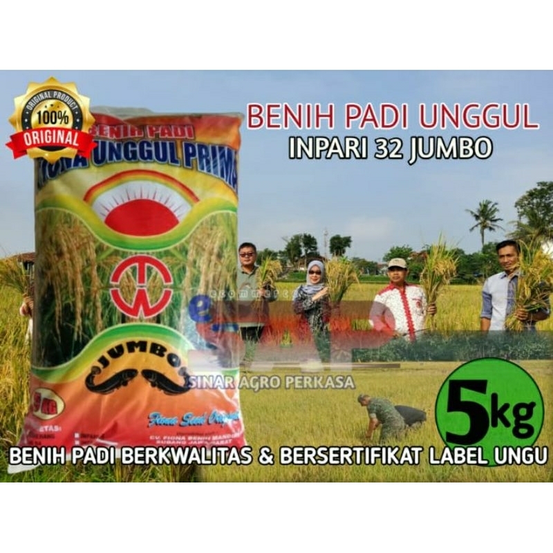 Jual BENIH PADI UNGGUL PRIMA INPARI 32 JUMBO | BERSERTIFIKAT LABEL UNGU 5 kg | Shopee Indonesia