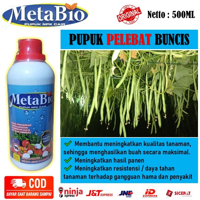 Jual pupuk pelebat buah buncis - pupuk organik MetaBio NPK cair melebatkan tanaman buncis paling ...